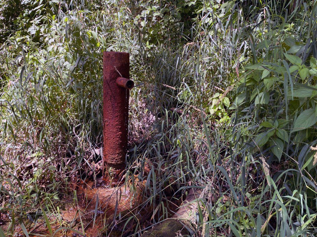 Five favorite flowing wells | Hiding in Plain Sight