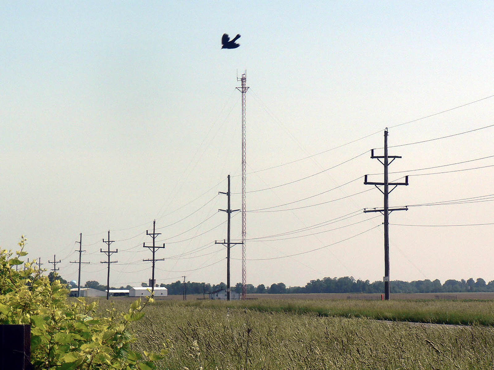 Rochester’s old Long Line tower | Hiding in Plain Sight