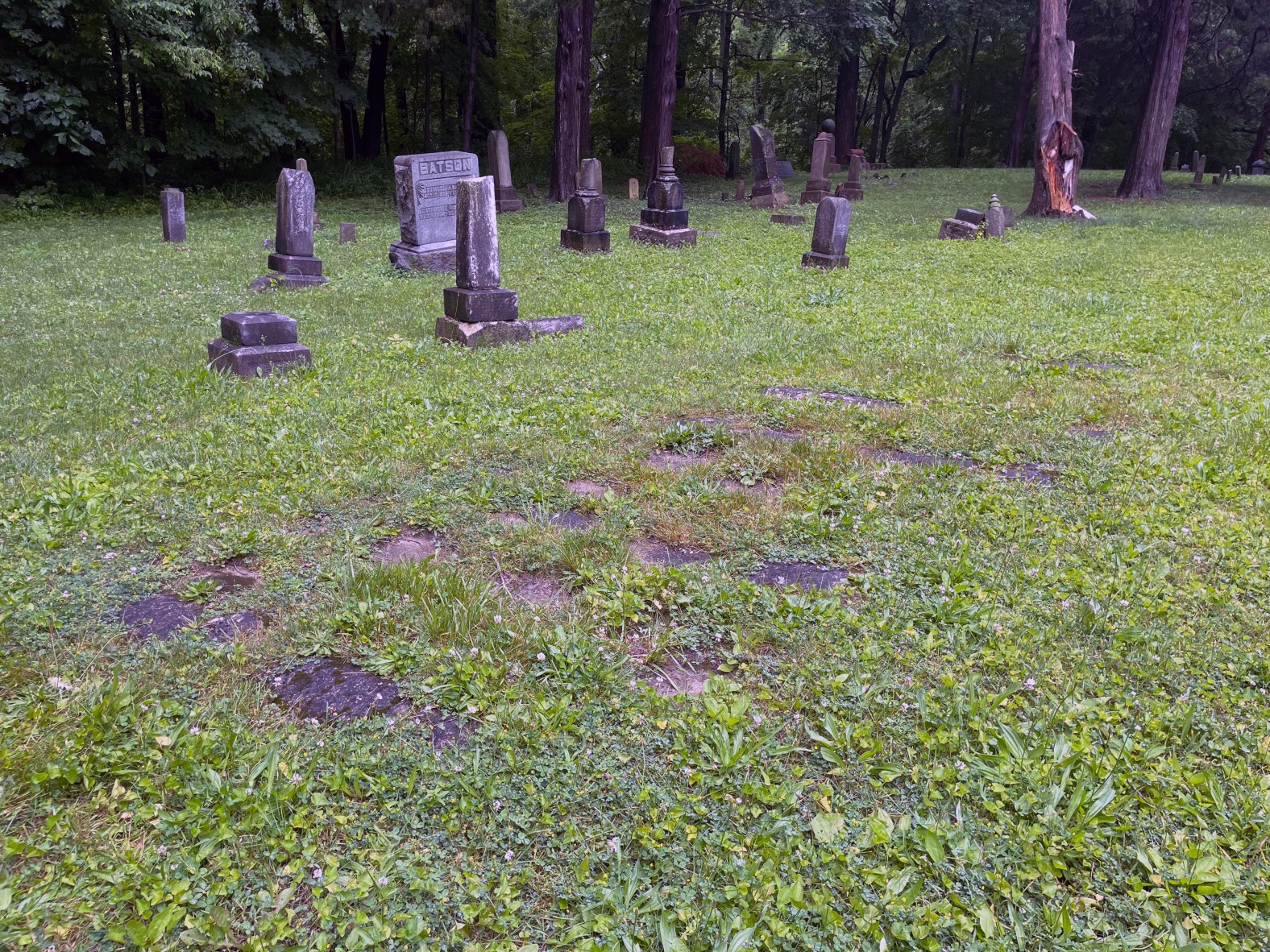 Hiding in Plain Sight | The Ted Shideler Blog